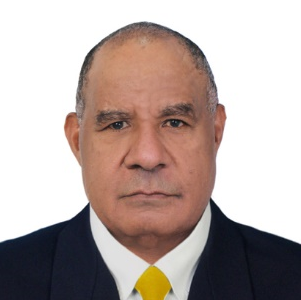 Powering regional partnerships via virtual connections from Papua New ...