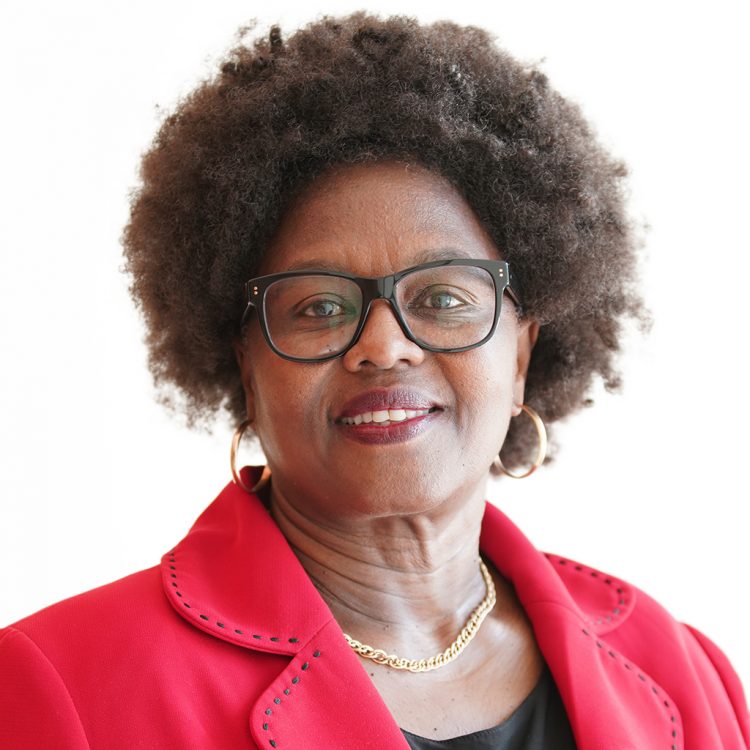 CANSO and ICAO champion ASBU implementation in Africa - CANSO